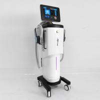 China Neo Electromagnetic Body Cold Ems Sculpting Machine 220V 50Hz for sale