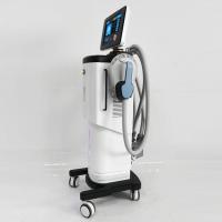 China Neo Electromagnetic Body Cold Ems Sculpting Machine 220V 50Hz for sale