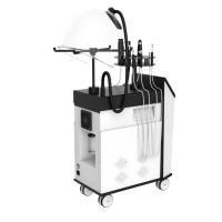 China Salon Private Oxygen Hydrafacial Machine Skin Care Water Jet Peel Beauty Machine for sale