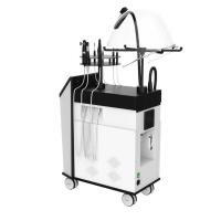 China Multifunction Pure O2 Inhale Oxygen Mask Injecting For Face Skin Care Beauty Instrument for sale