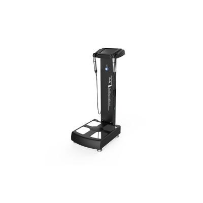 China CE Accurate 380 bioelectrical Impedance Analysis Machine100HZ for sale