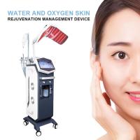 China Multifunction 13 In 1 oxygen Therapy Facial Machine 300w 240V for sale