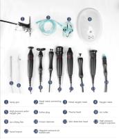 China Multifunction 13 In 1 oxygen Therapy Facial Machine 300w 240V for sale
