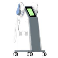 China Double Head  Electrotherapy Weight Loss Machines Firm Abs Weight Loss for sale