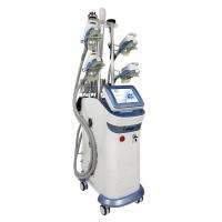 China RF Cryolipolysis Fat Freezing Machine 800W , Multifunctional Fat Loss Machine for sale
