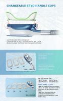 China RF Cryolipolysis Fat Freezing Machine 800W , Multifunctional Fat Loss Machine for sale