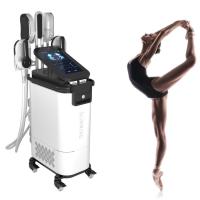 China 240V 60Hz Electronic Muscle Stimulator Weight Loss Magnetic Wave Machine for sale
