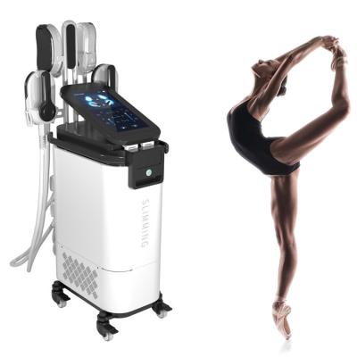 China 240V 60Hz Electronic Muscle Stimulator Weight Loss Magnetic Wave Machine for sale