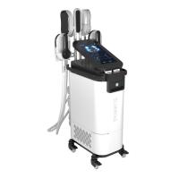 China 240V 60Hz Electronic Muscle Stimulator Weight Loss Magnetic Wave Machine for sale