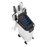 China 240V 60Hz Electronic Muscle Stimulator Weight Loss Magnetic Wave Machine for sale