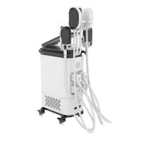 China 240V 60Hz Electronic Muscle Stimulator Weight Loss Magnetic Wave Machine for sale