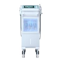 China Anti Aging Oxygen Hydrafacial Machine , 9 In 1 Multifunction Facial Machine for sale