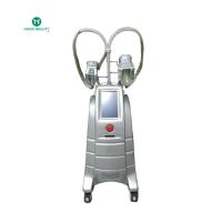 China 5 Heads Cryolipolysis Fat Freezing Machine 360 Cryolipolysis Slimming Machine for sale