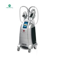 China 5 Heads Cryolipolysis Fat Freezing Machine 360 Cryolipolysis Slimming Machine for sale