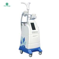 China Vertical 360 Cryolipolysis Fat Freezing Machine Cavitation 80k Home Use for sale