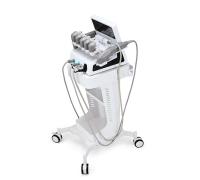 China 110V 60Hz home High Intensity Focused Ultrasound Machine Liposonix No Pain for sale