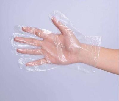 China Biodegradable Disposable Poly Gloves Plastic HDPE / LDPE With Embossed / Smooth Surface for sale