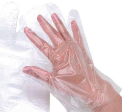 China ISO9OO1 CE Medical Care Disposable Poly Gloves For House Clean / Hair Dye Use for sale