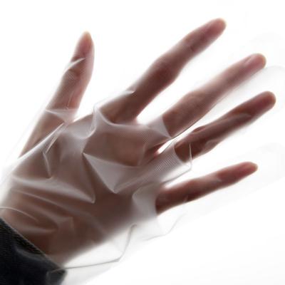 China Waterproof Disposable LDPE HDPE  Plastic Polyethylene PE Gloves for sale