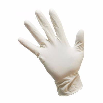 China Powder Or Powder Free Disposable Latex Gloves For Surgical Supply for sale