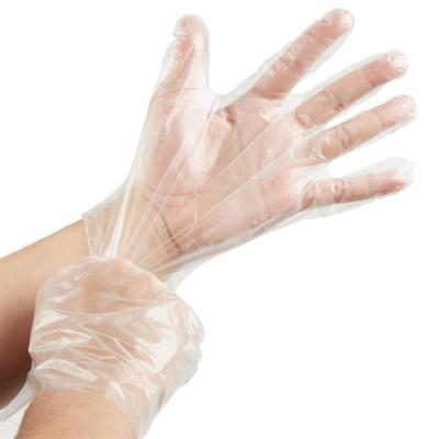 China Clear Food Service Elastic Disposable Poly Gloves 100% Virgin TPE Plastic Material for sale
