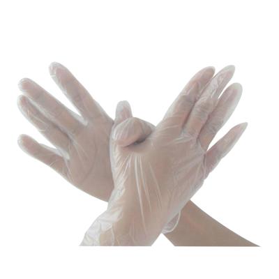 China Vinyl Gloves Disposable PVC Hand Protection Gloves , Powder Free Examination Gloves for sale