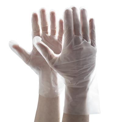 China Multipurpose Tpe Disposable Food Preparation Gloves With Translucent Color for sale