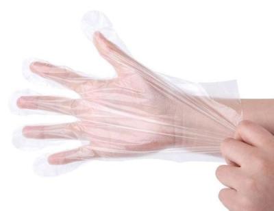 China Home Kitchen Bbq Disposable Poly Gloves Clear Pe Material With Multifunction for sale