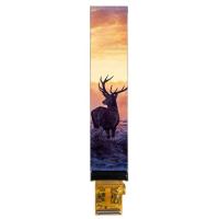 China 7.0 inch 280x1424 Resolution High Resolution TFT LCD Display Module for sale