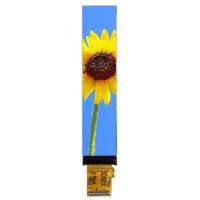 China 7.0 inch 280x1424 Resolution High Resolution TFT LCD Display Module for sale