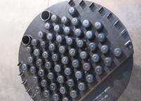 China SS304 SS316L Bubble Cap Tray Column DN80 DN100 DN150 for Distillation for sale