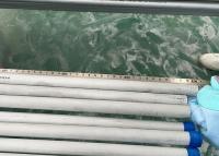 China Stainless Steel Tubing 316 316L 304 304L Seamless Pipe 6.35mm OD Food Grade for sale