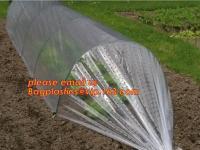 China Greenhouse, Agricultural Polyethylene Film, Mulch Films, Horticultural Products, Perforated Wrap, Tomato, Flowers for sale
