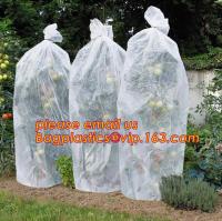 China Greenhouse, Agricultural Polyethylene Film, Mulch Films, Horticultural Products, Perforated Wrap, Tomato, Flowers for sale