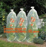 China Greenhouse, Agricultural Polyethylene Film, Mulch Films, Horticultural Products, Perforated Wrap, Tomato, Flowers for sale