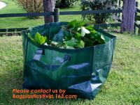 China Heavy Duty Pp Garden Bag, Self-Standing Tip Bags, Make Yard Clean-Up Easy Tipping Bag, Garden Sack, Leaf Sack for sale