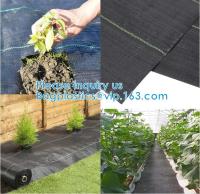 China Weed control Mat, Ground Cover, Flower Bed, Mulch, Pavers, Edging, Garden Stakes, Weed Barrier,  Landscape for sale