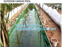 China Heavy Duty PVC Truck Coated Tarpaulin, Outdoor Poly Tarp CARGOES COVER, Canvas Tarpaulin Roofing Fabric sheet for sale