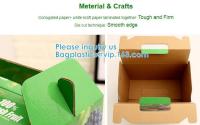 China Corrugated Fruit Packing Box, Gloss Lamination, Offset Printing, Foldable Box, Flower Cone, Flowral Packaging for sale