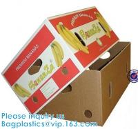 China Corrugated Fruit Packing Box, Gloss Lamination, Offset Printing, Foldable Box, Flower Cone, Flowral Packaging for sale