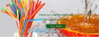 China PLA Plant Based, Individual Wrap, Cocktail Drinking Straw, Eco Friendly, Corn Starch, Flexi, Spoon, Fork, Cultery for sale