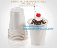 China Compostable Sugarcane Cup 8/12oz Eco Friendly Biodegradable Bagasse Coffee Cups, Sugarcane Bagasse Pulp for sale