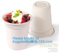 China Compostable Sugarcane Cup 8/12oz Eco Friendly Biodegradable Bagasse Coffee Cups, Sugarcane Bagasse Pulp for sale