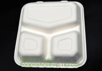 China Biodegradable, Sugar Cane, Sugarcane Bamboo Pulp, Bento Box, Bagasse Food Container, Take Out Box, Plates & Bowls for sale
