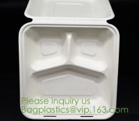 China Biodegradable, Sugar Cane, Sugarcane Bamboo Pulp, Bento Box, Bagasse Food Container, Take Out Box, Plates & Bowls for sale