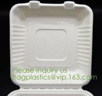 China Biodegradable, Sugar Cane, Sugarcane Bamboo Pulp, Bento Box, Bagasse Food Container, Take Out Box, Plates & Bowls for sale