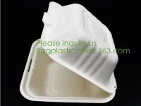 China Biodegradable, Sugar Cane, Sugarcane Bamboo Pulp, Bento Box, Bagasse Food Container, Take Out Box, Plates & Bowls for sale