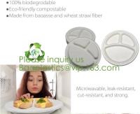 China Biodegradable, Sugar Cane, Sugarcane Bamboo Pulp, Bento Box, Bagasse Food Container, Take Out Box, Plates & Bowls for sale