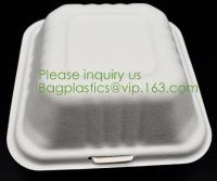 China Biodegradable, Sugar Cane, Sugarcane Bamboo Pulp, Bento Box, Bagasse Food Container, Take Out Box, Plates & Bowls for sale