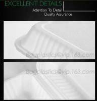 China Compostable Clamshell Take Out Food Containers, Natural Disposable Bagasse, Eco-Friendly, Sugar Cane Fibers for sale